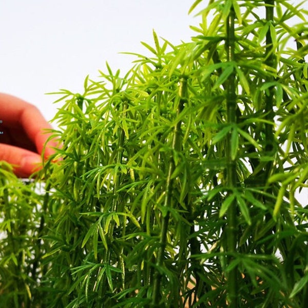 Miniature Bamboo - Etsy