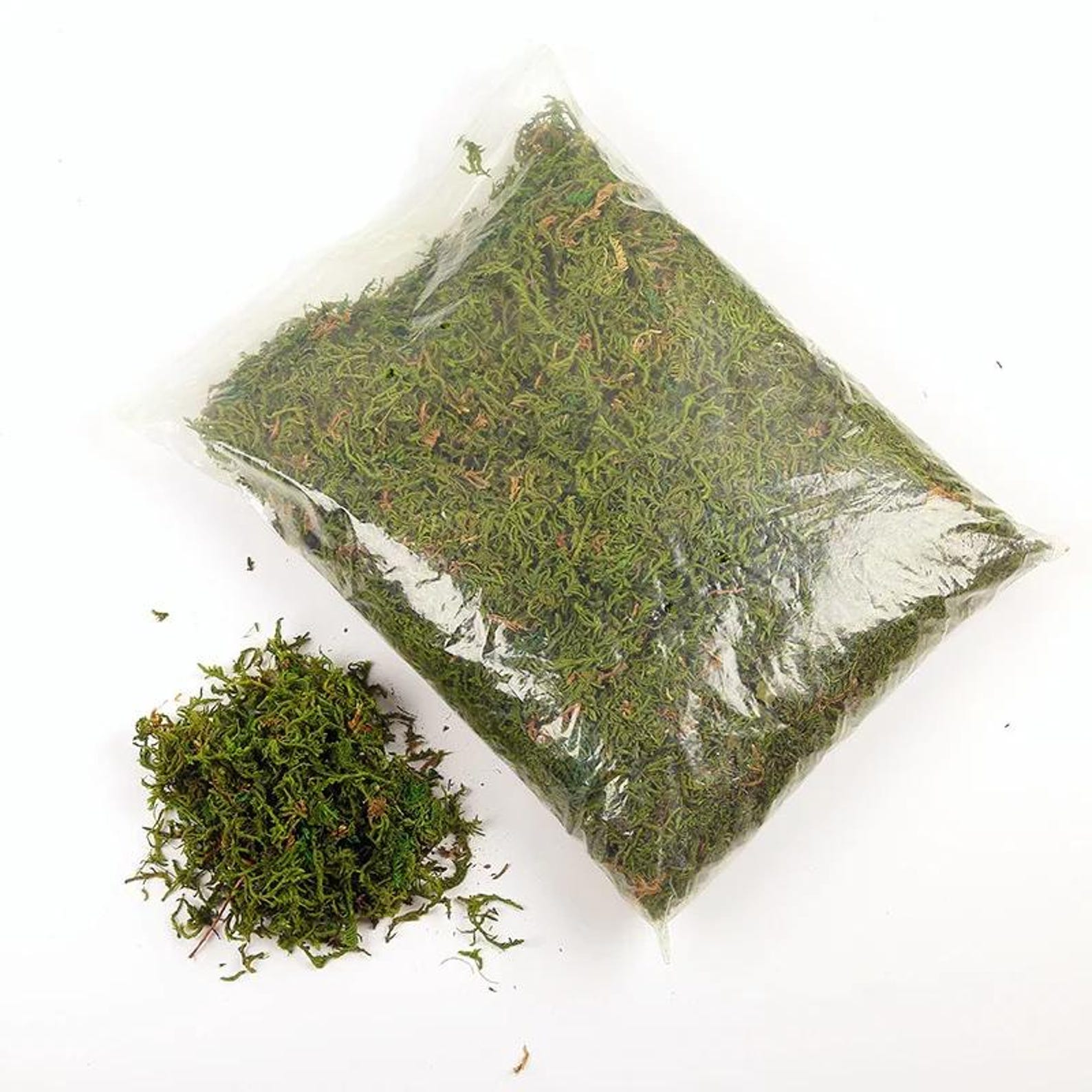 30/60g Miniature Moss Lichen Grass Model Train Railway Layout ...