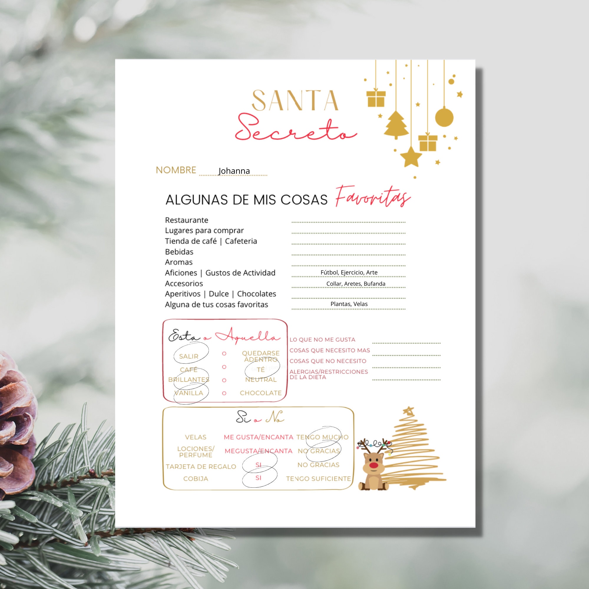 Spanish Secret Santa Questionnaire, Christmas Gift Exchange (digital ...