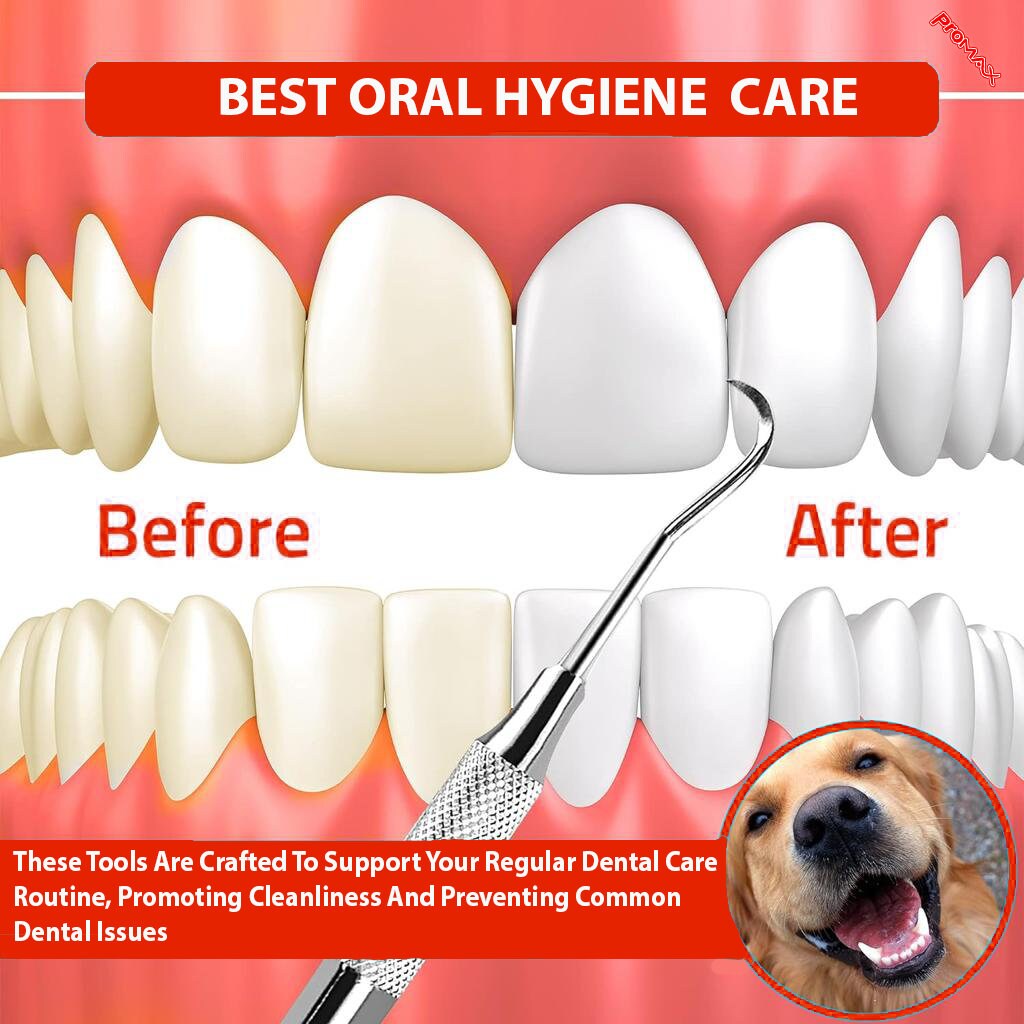 Pack of 2 Dental Tartar Scraper Tool - Detal Hygiene Gift, Dogs Teeth ...