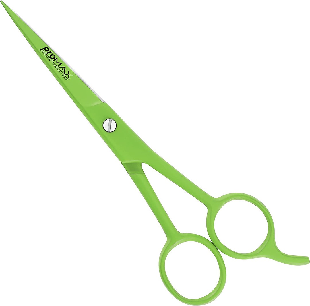 Professional Barber/salon Razor Edge Hair Cutting Scissors / Shears ...