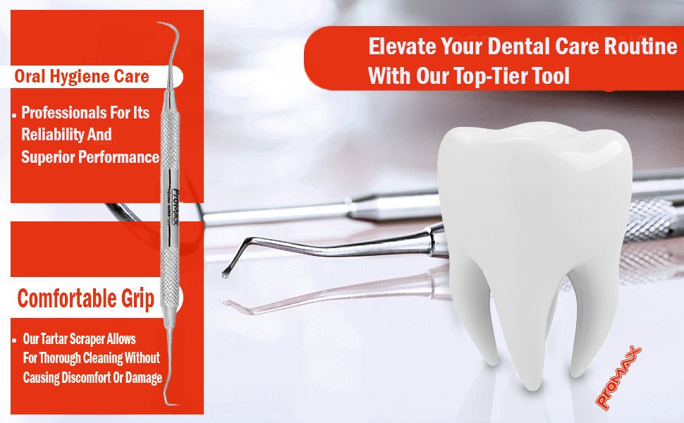 Pack of 2 Dental Tartar Scraper Tool - Detal Hygiene Gift, Dogs Teeth ...
