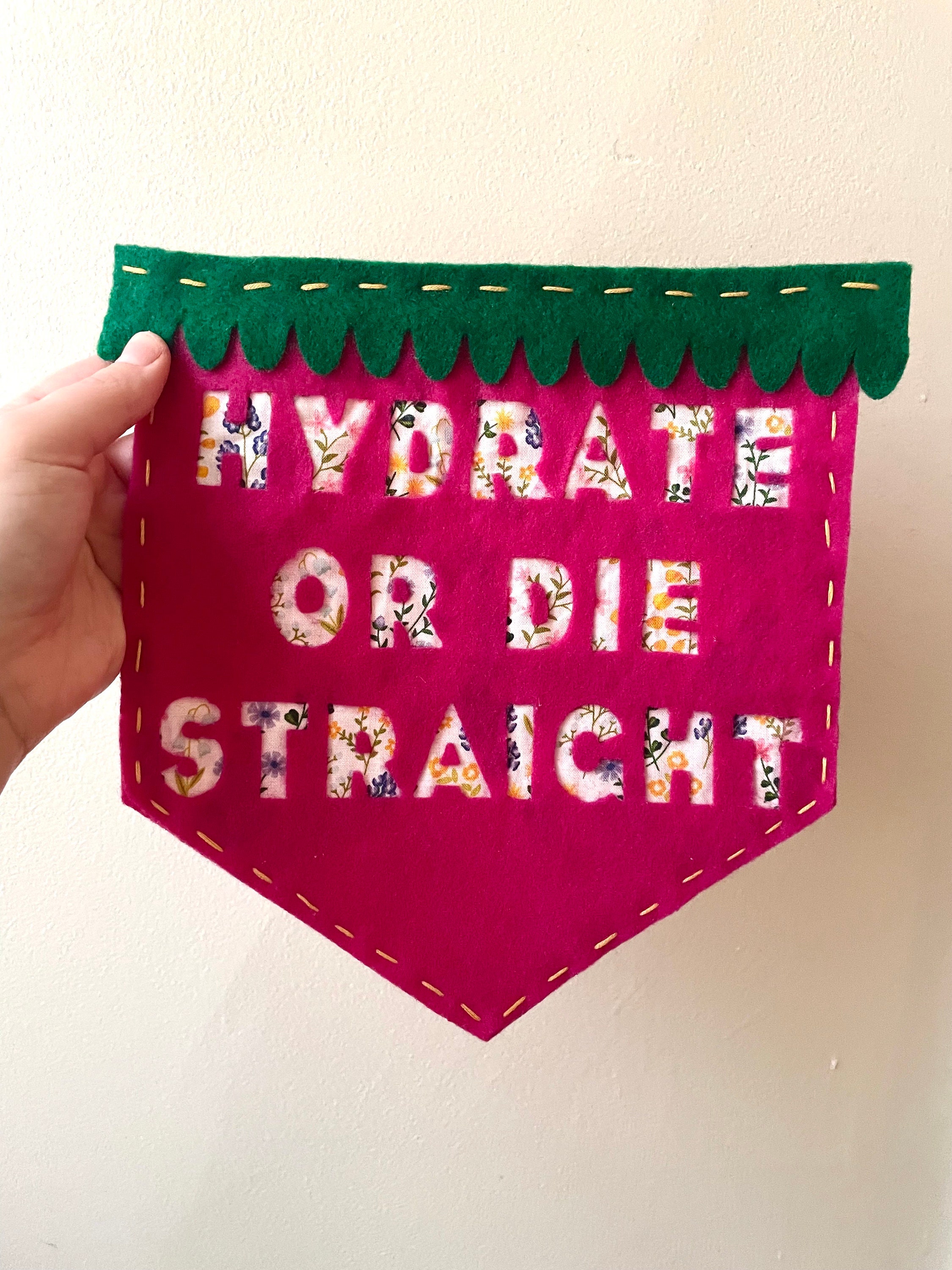 Hydrate or Die Straight Felt Wall Art Felt Banner Queer Decor - Etsy