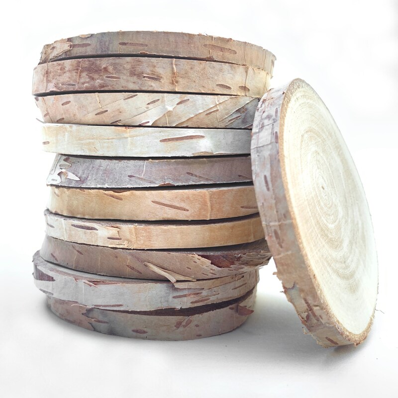Birch Tree Slice - Etsy