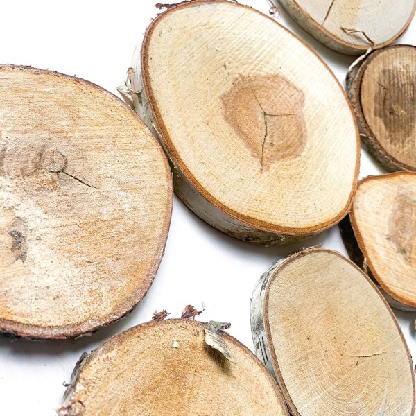 Wood Slices - Etsy