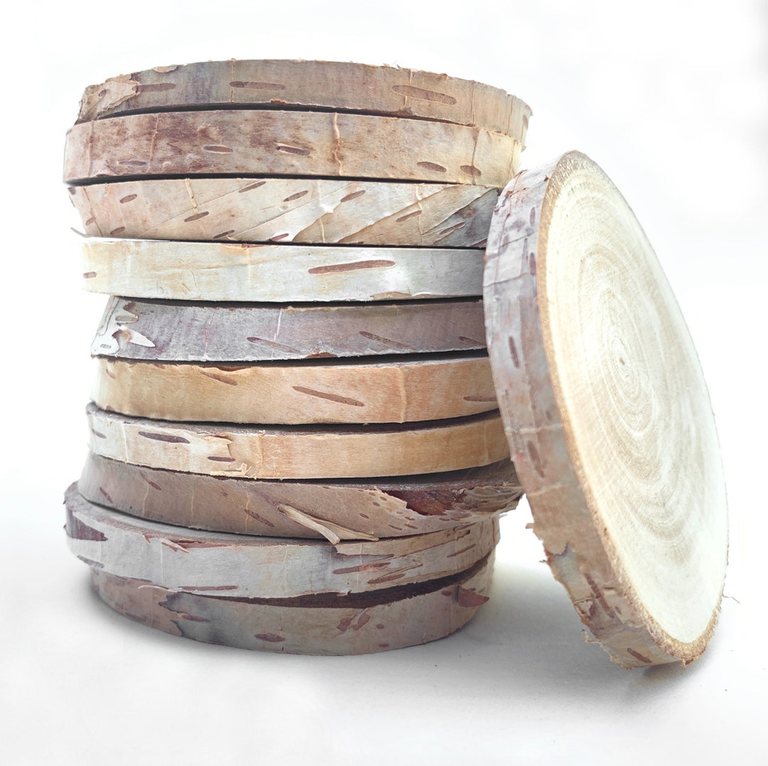 Birch Wood Slices (set of 10): 3-3.5 Inch, Kiln Dried Craft Rounds - Etsy