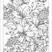 Bundle Mandala Coloring Pages PDF Set | Digital Download | 50 ...