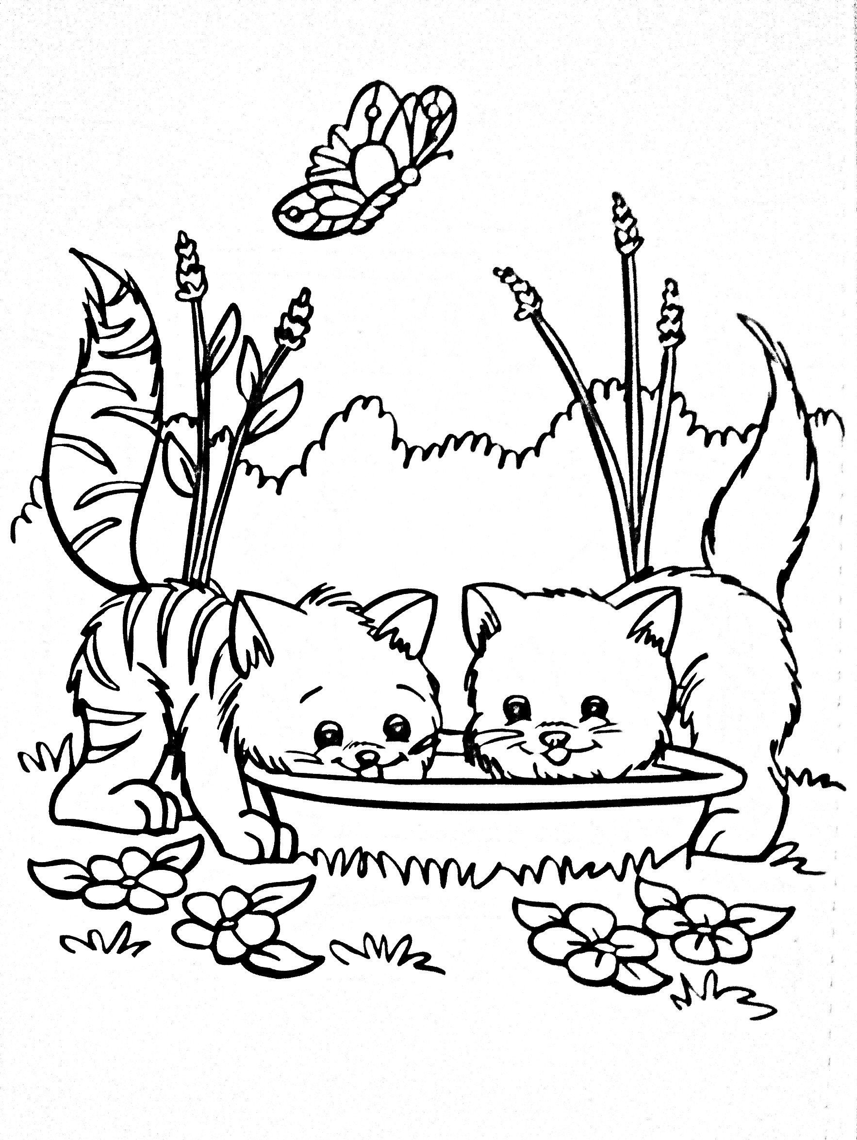 The Farm is Getting Ready for the Easter - Coloring Book for Toddlers ...