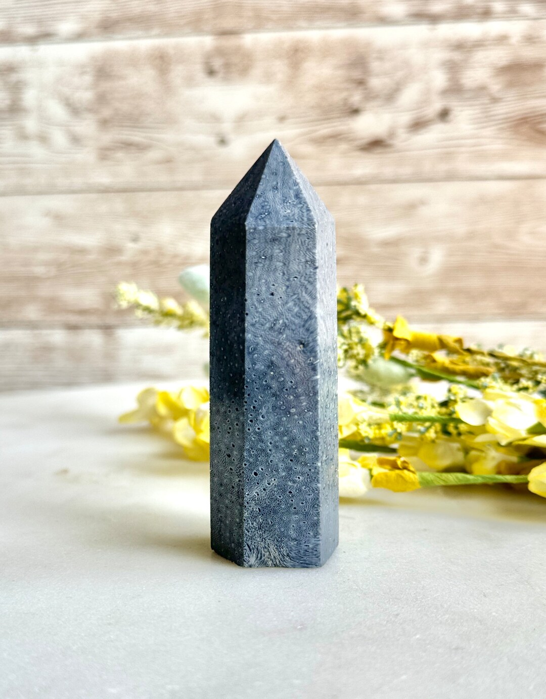 RARE 3.2” Blue Coral Fossile Tower - Etsy