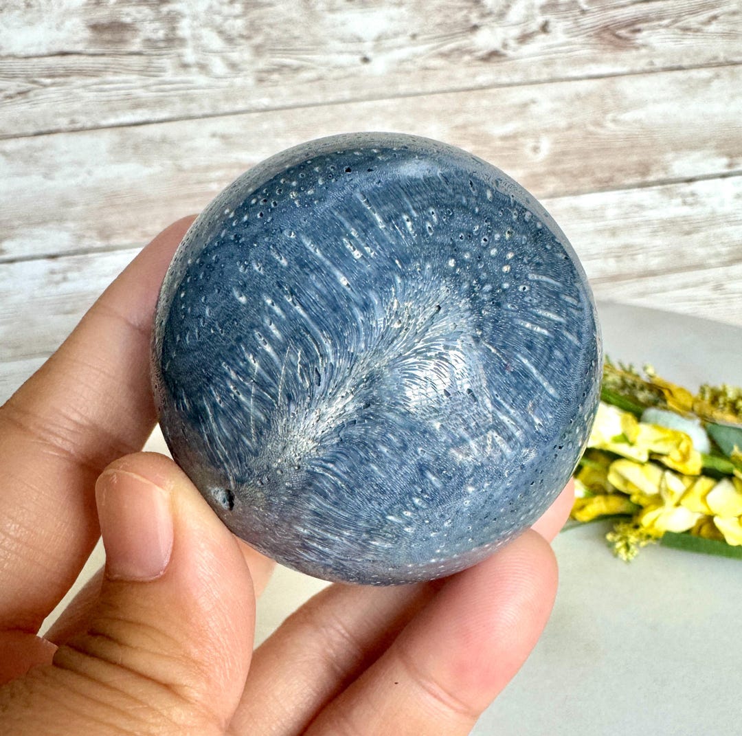 RARE! 55mm Blue Coral Fossil Sphere/with Stand - Etsy