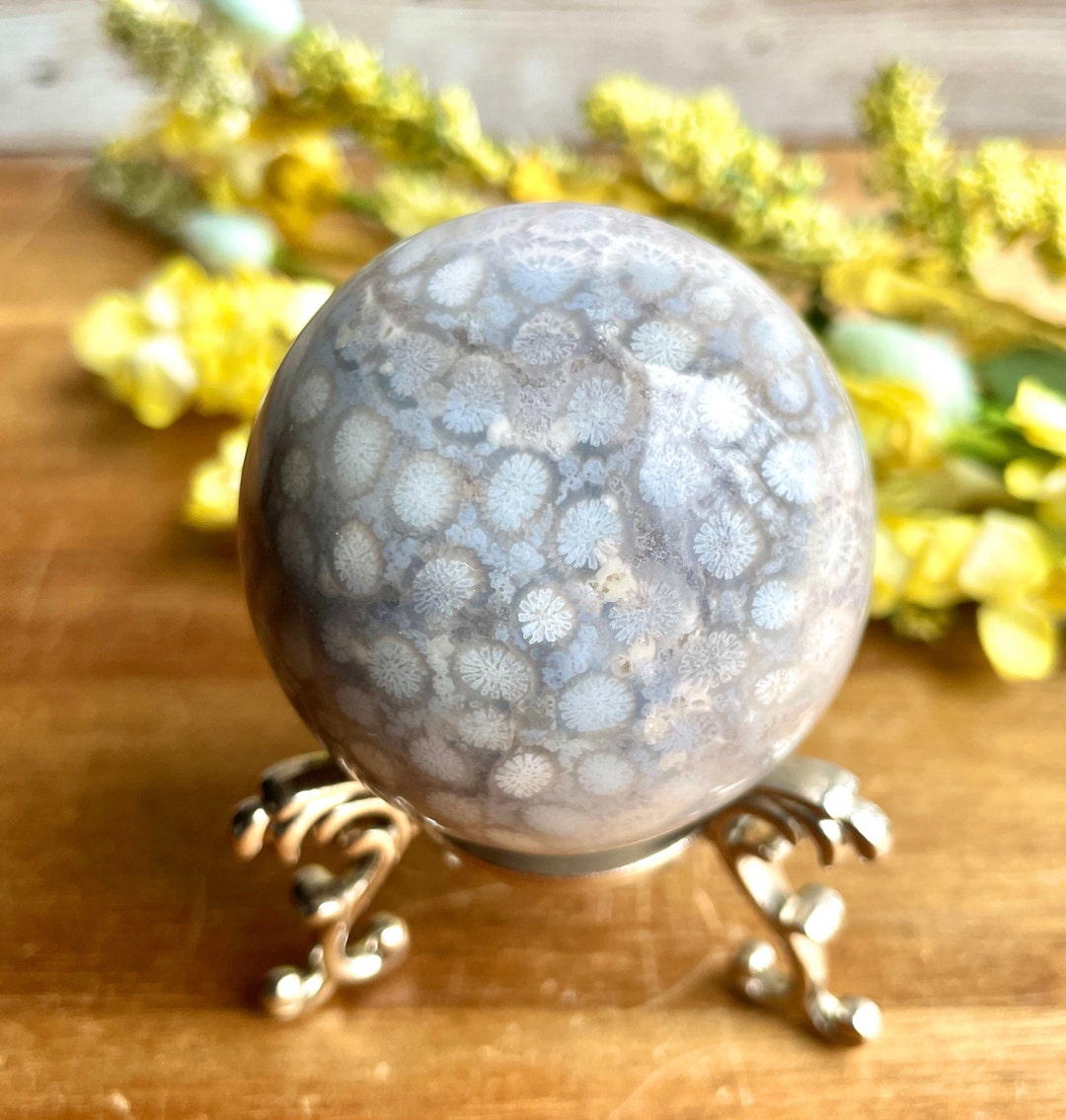 BLOSSOM! 47mm Blue White Fossilized Coral Sphere/coral Fossil Sphere ...