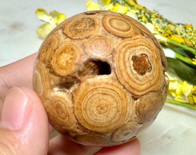 RARE! 45mm Dragon Palace Relic Sphere/#2/rare Find/thailand - Etsy