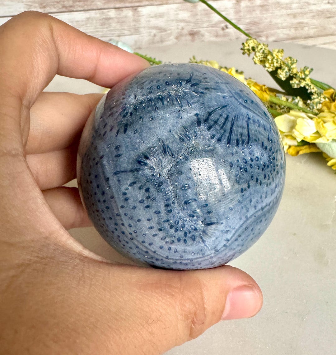 RARE! 67mm Blue Coral Fossil Sphere/with Stand/amazing Patterns - Etsy