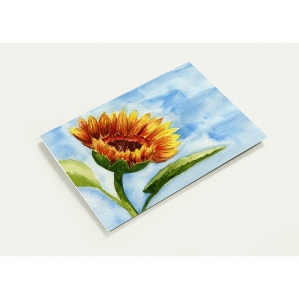 Roly Poly Armadillo Watercolor Greeting Cards Pack of 10 With Envelopes ...