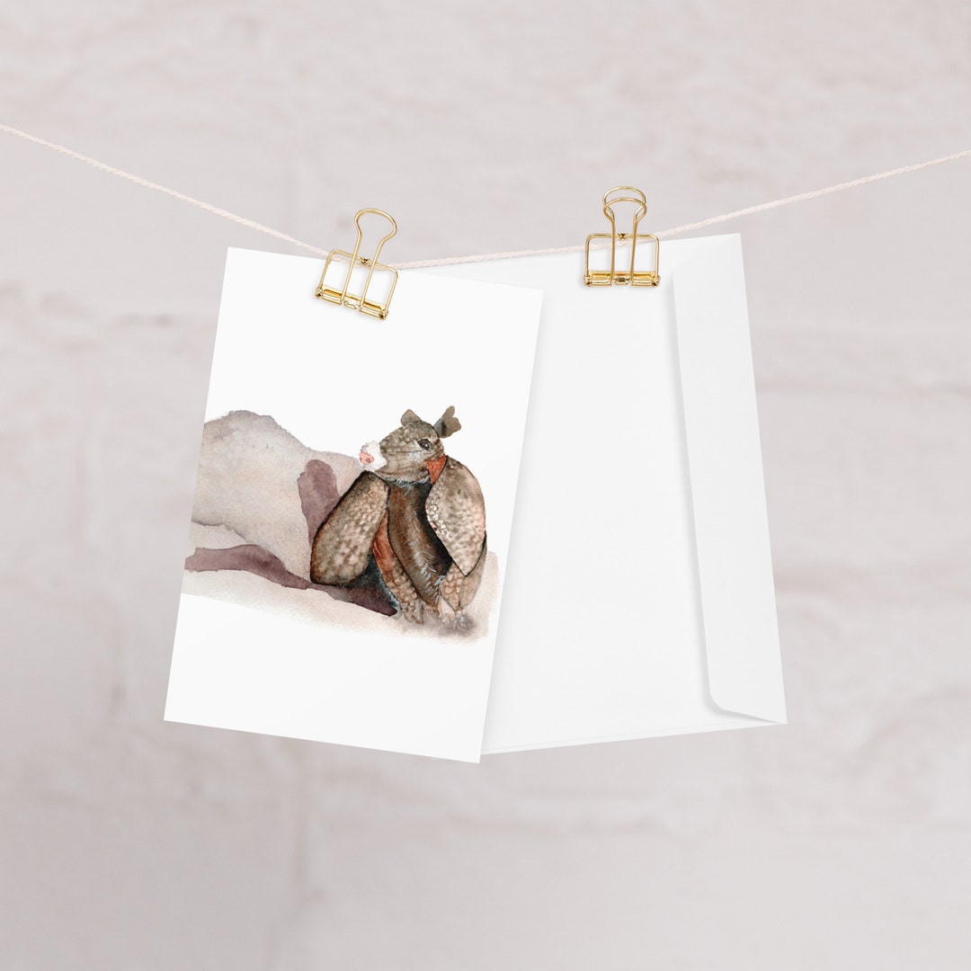 Roly Poly Armadillo Watercolor Greeting Cards Pack of 10 With Envelopes ...