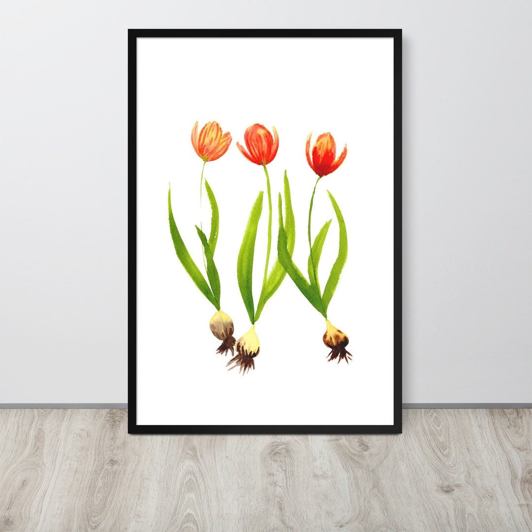 Loose Watercolor Tulips Print | Modern Spring Flowers | Framed ...