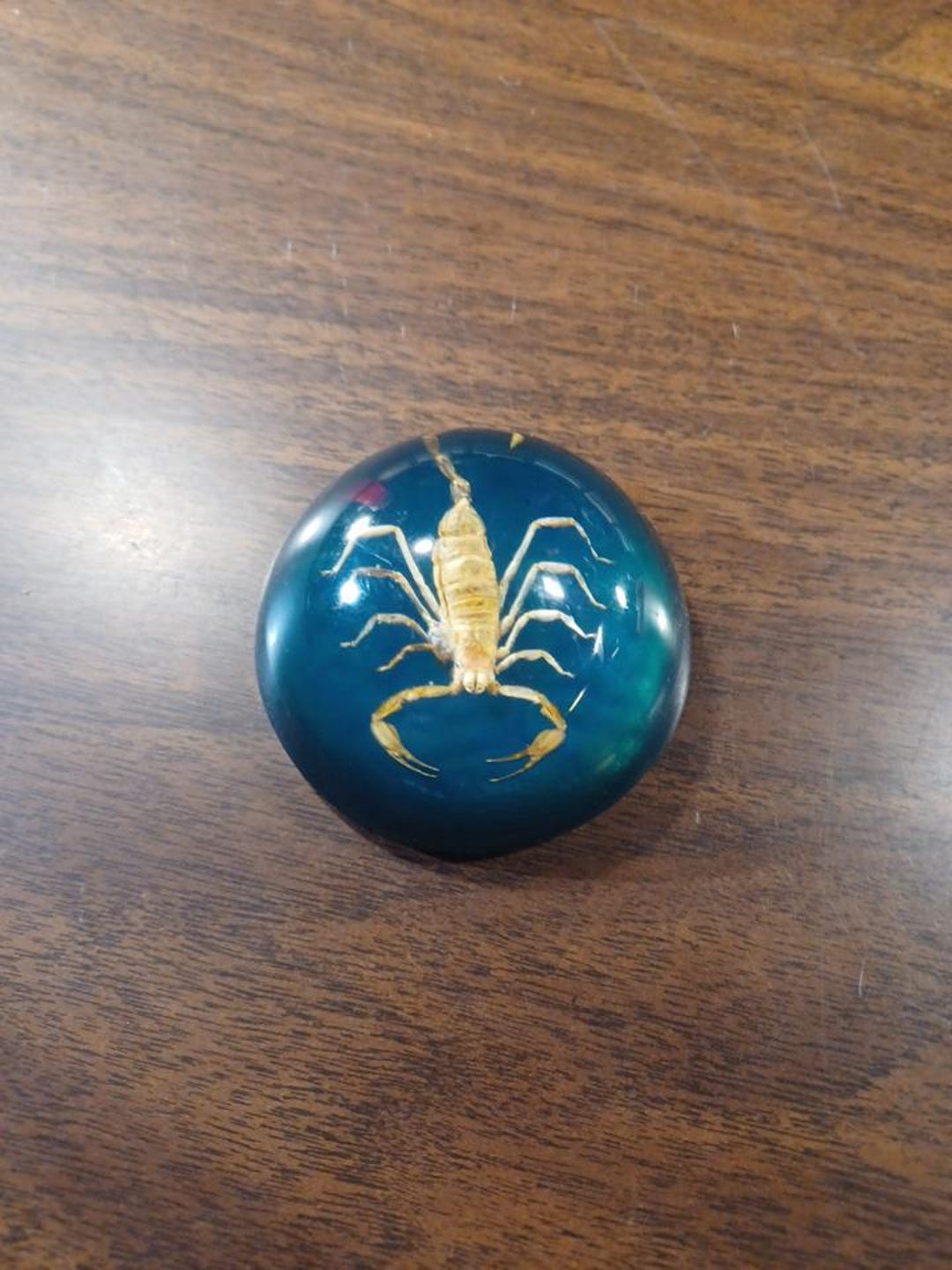 Vintage Scorpion Paperweight, 198? - Etsy
