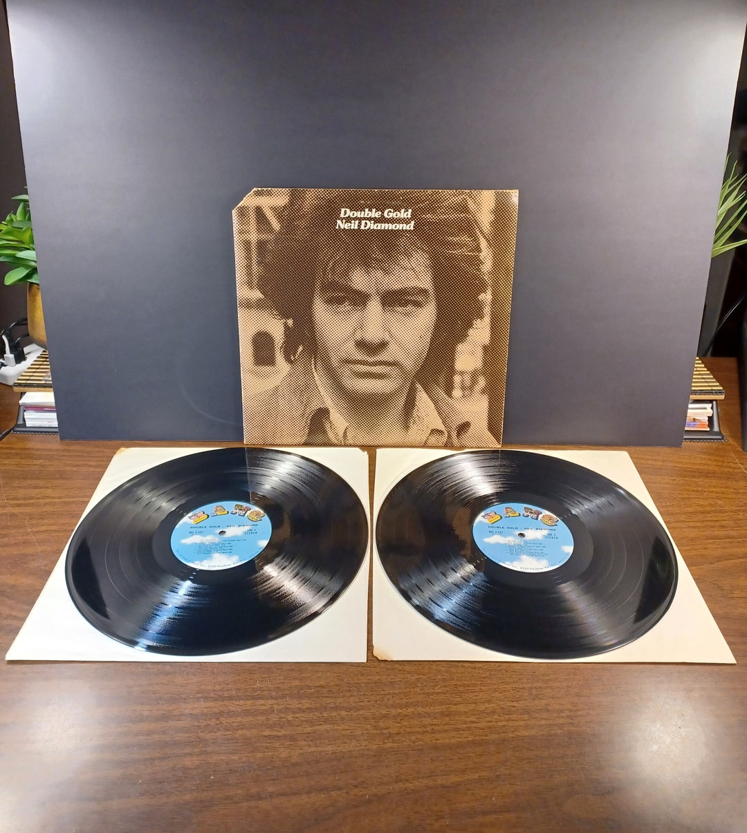 Neil Diamond: Double Gold greatest Hits 2 Album Set, Vintage Vinyl ...