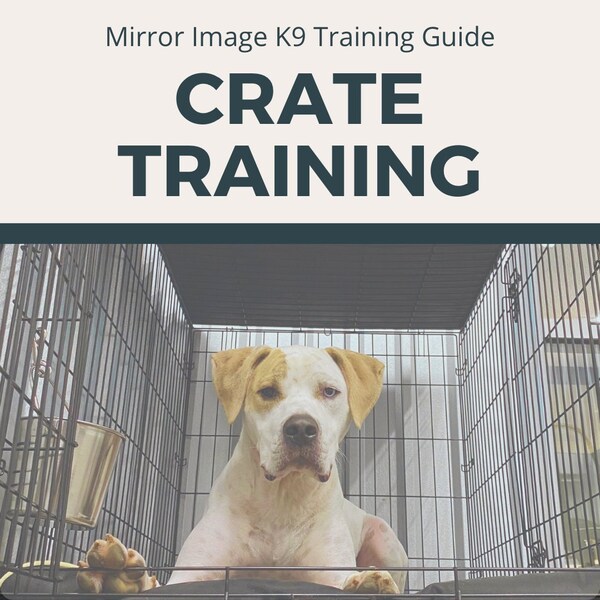 Crate Training Guide - Etsy