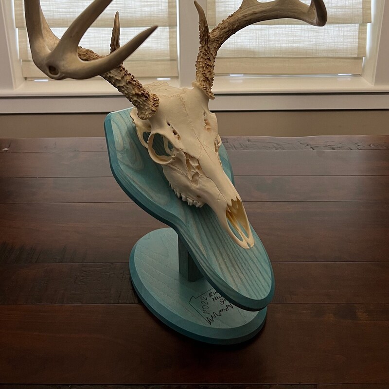 European Mount - Etsy