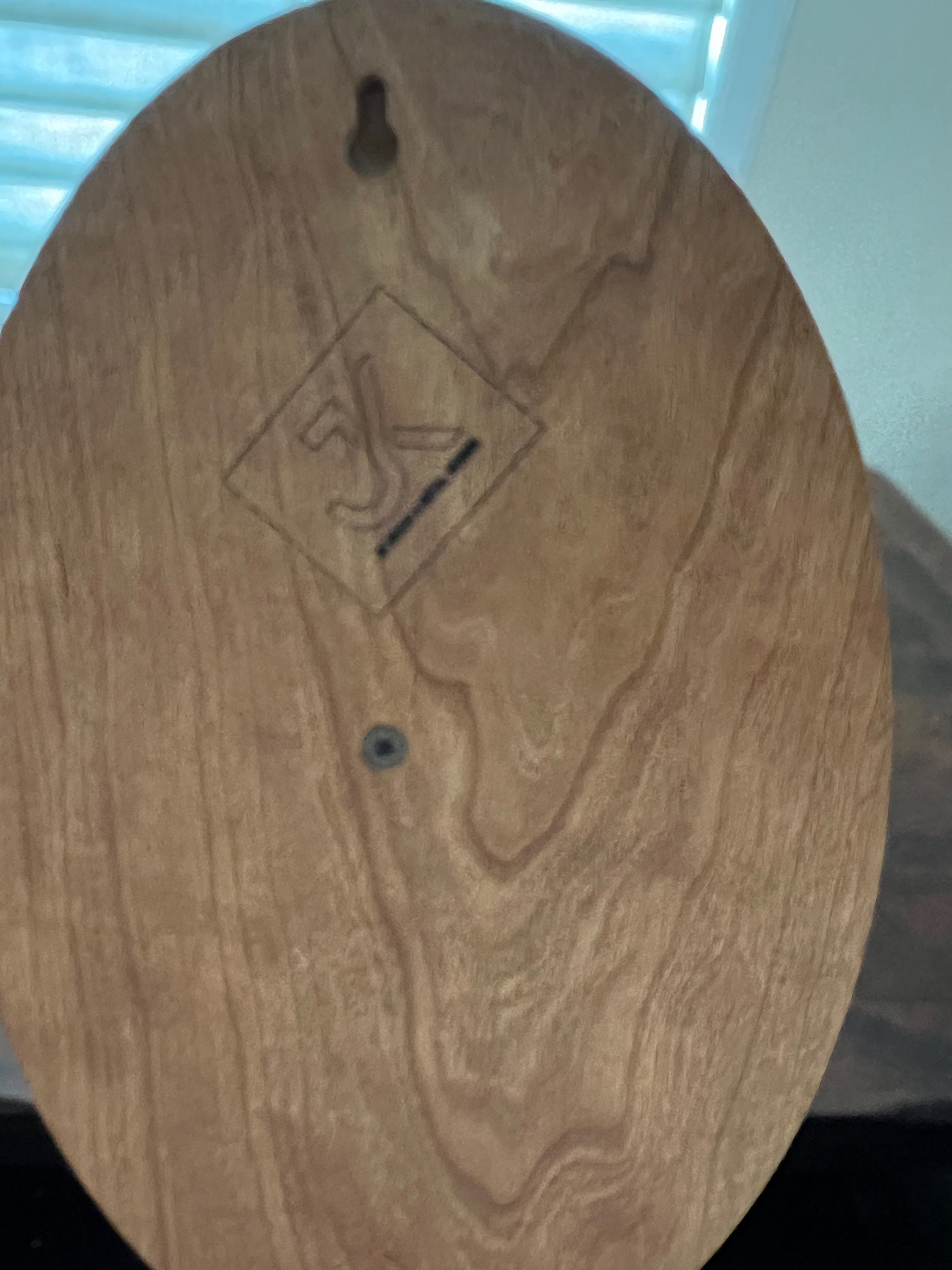 European Bear Skull Mount Plaque, Wall or Table Interchangeable ...