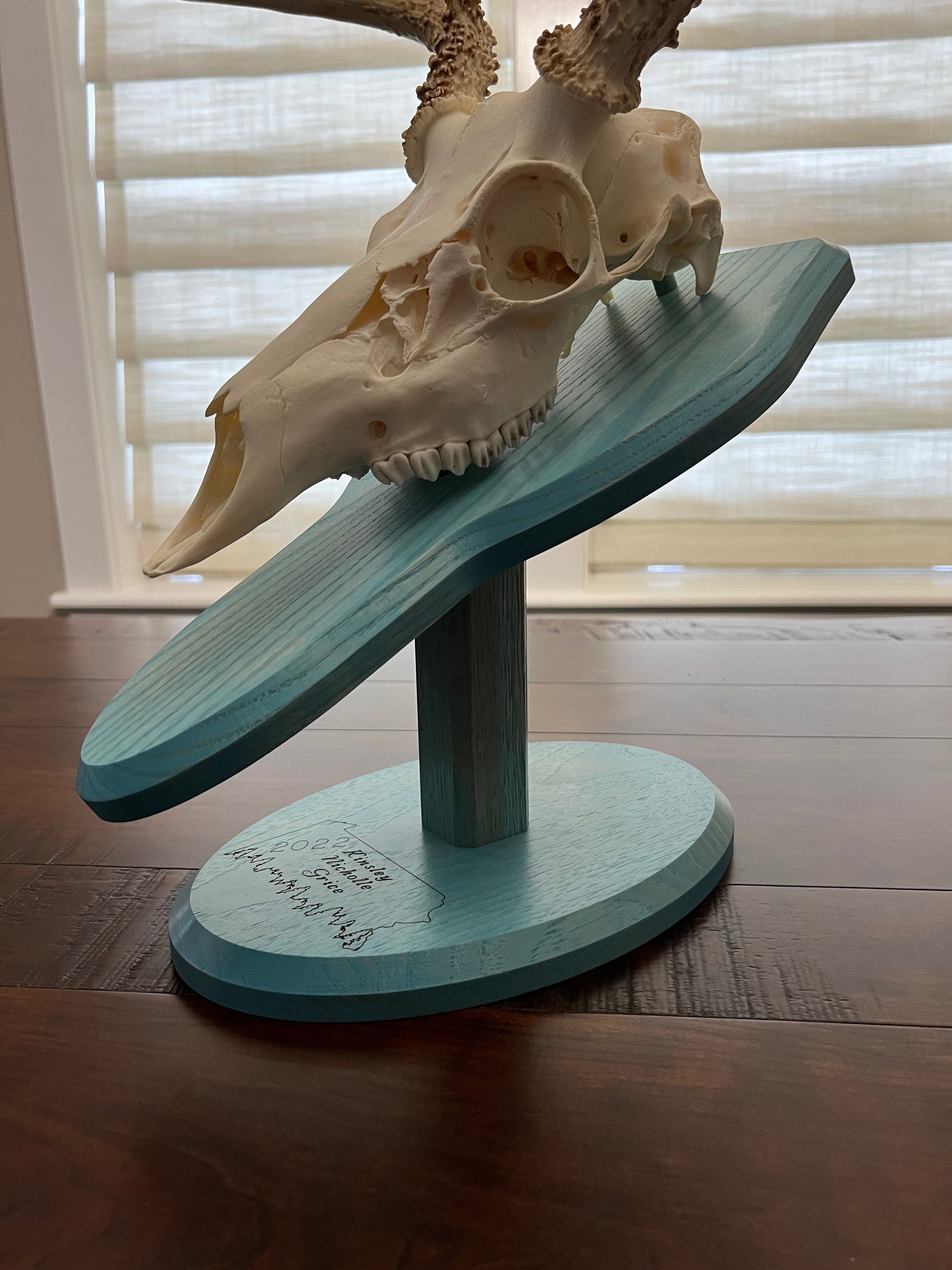 European Skull Mount Plaque From Solid Hardwood (not Pine) With Teal ...