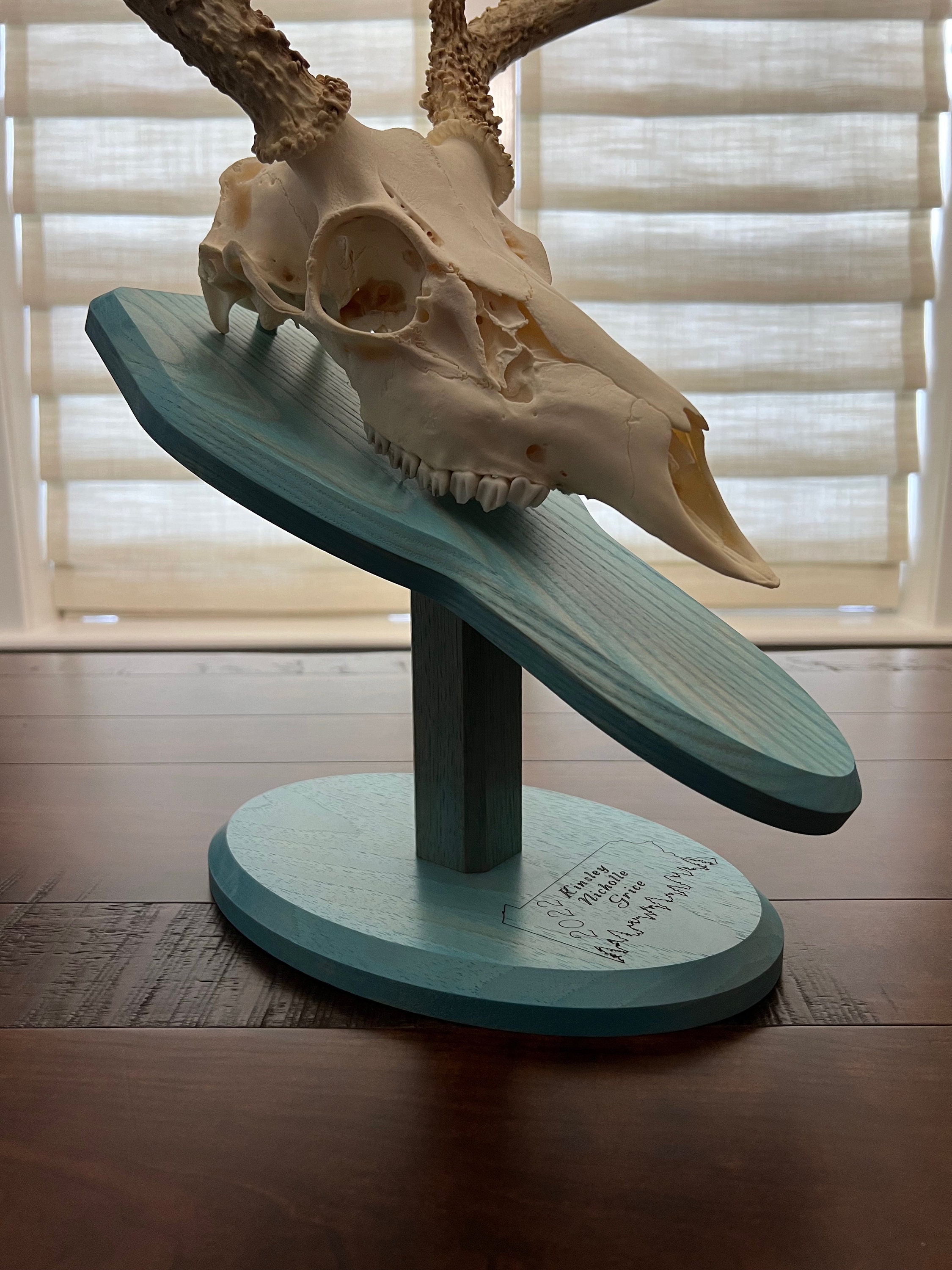 European Skull Mount Plaque From Solid Hardwood (not Pine) With Teal ...