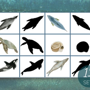 Ocean Animals Shadow Matching, Montessori Activity, Summer Activity ...