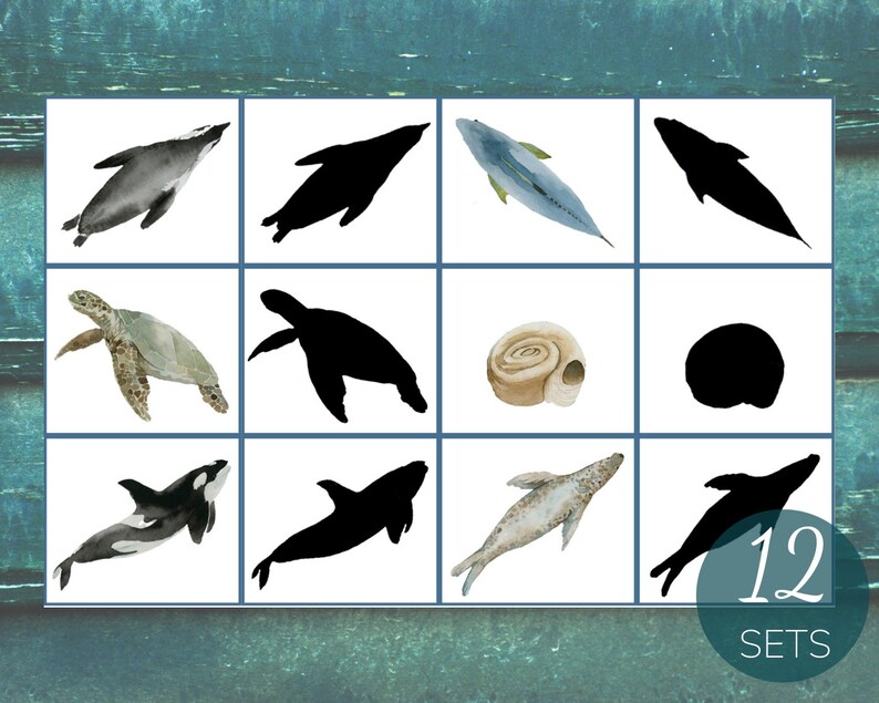 Ocean Animals Shadow Matching Montessori Activity Summer - Etsy