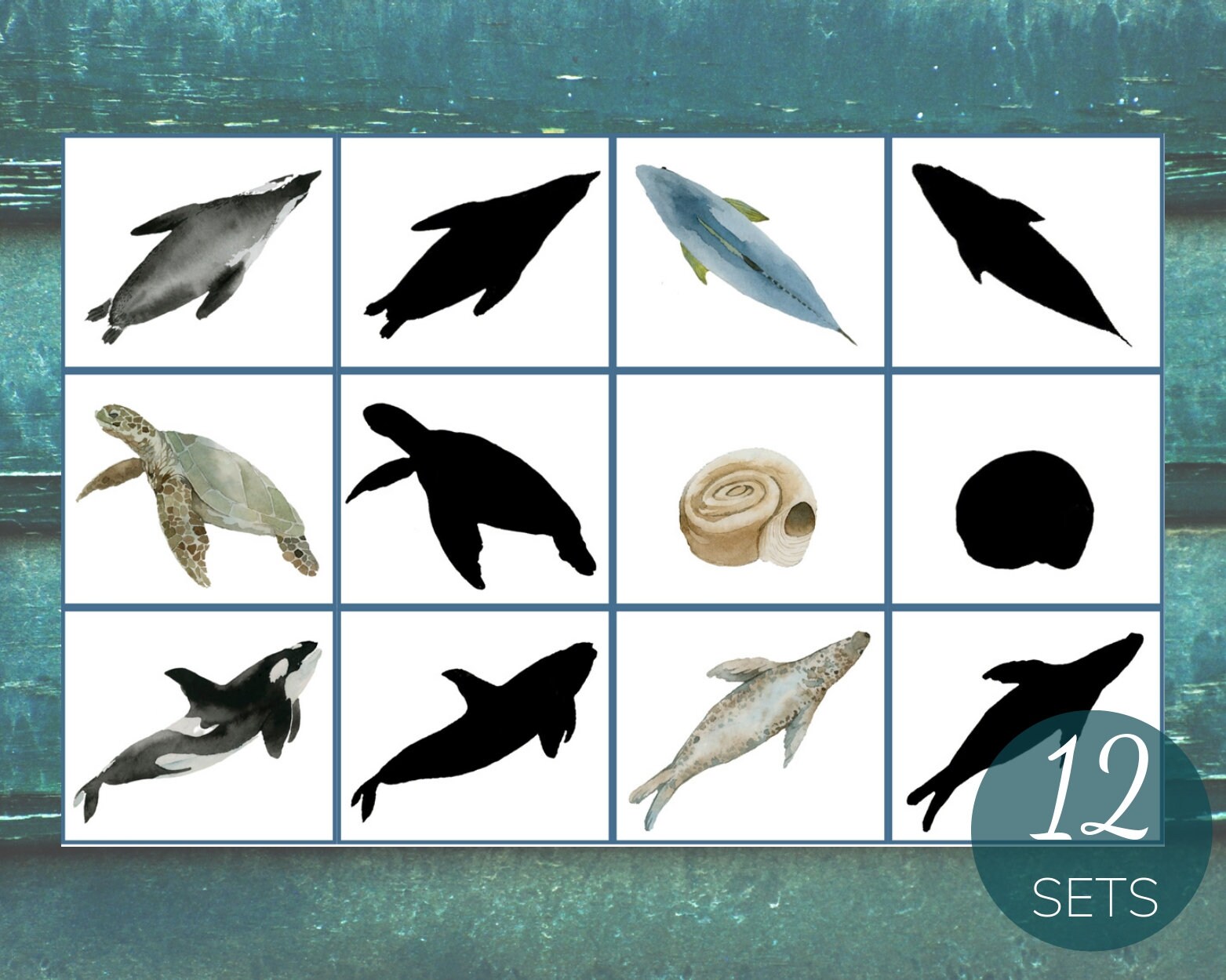 Ocean Animals Shadow Matching, Montessori Activity, Summer Activity ...