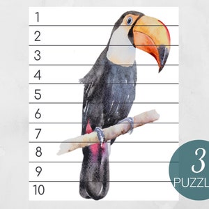 Pet Printable, Number Sequence Puzzle 1-10, Montessori Activity, Summer ...