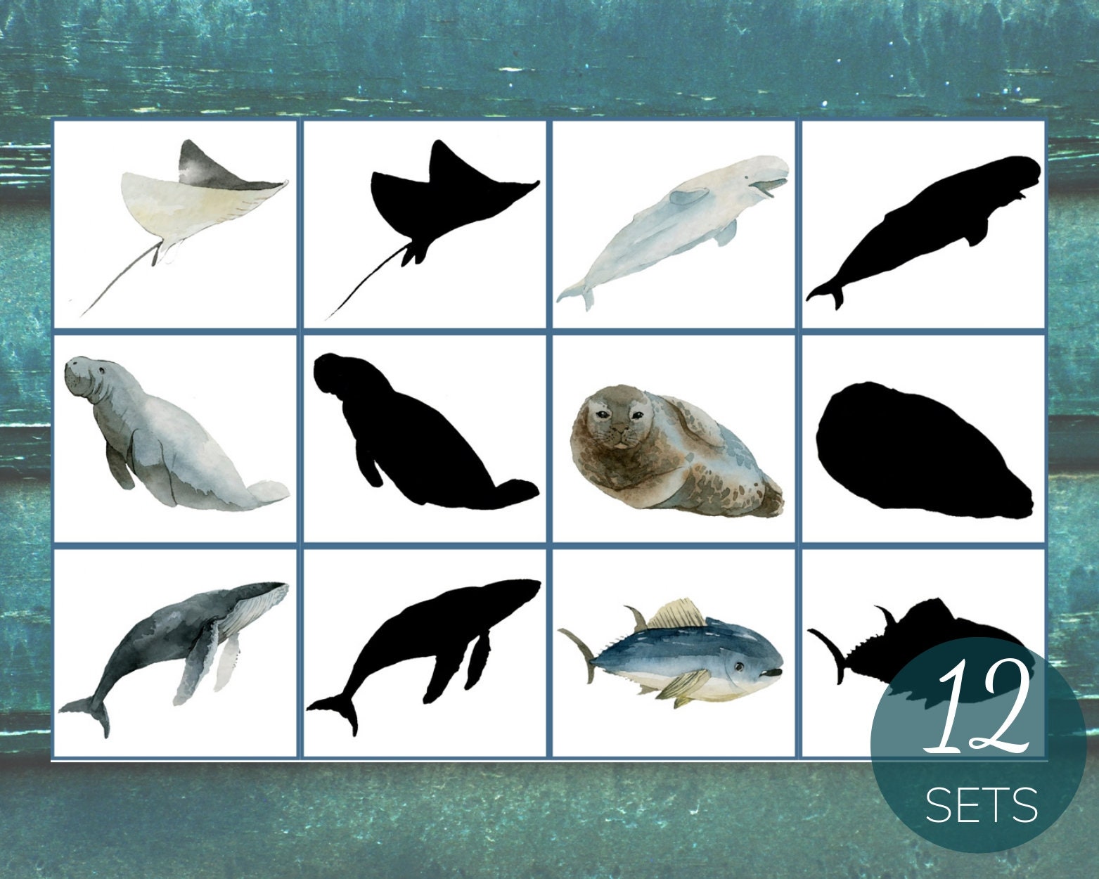 Ocean Animals Shadow Matching, Montessori Activity, Summer Activity ...