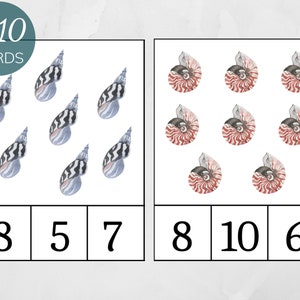 Seashell Count and Clip Cards 1-10, Montessori Activity, Summer Math ...