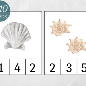 Seashell Count and Clip Cards 1-10, Montessori Activity, Summer Math ...
