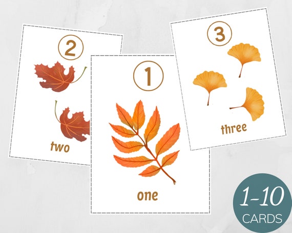 Dinosaur Number Flashcards 1-10 Montessori Activity Summer - Etsy