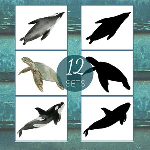 Ocean Animals Shadow Matching, Montessori Activity, Summer Activity ...