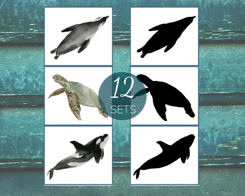 Ocean Animals Shadow Matching Montessori Activity Summer - Etsy