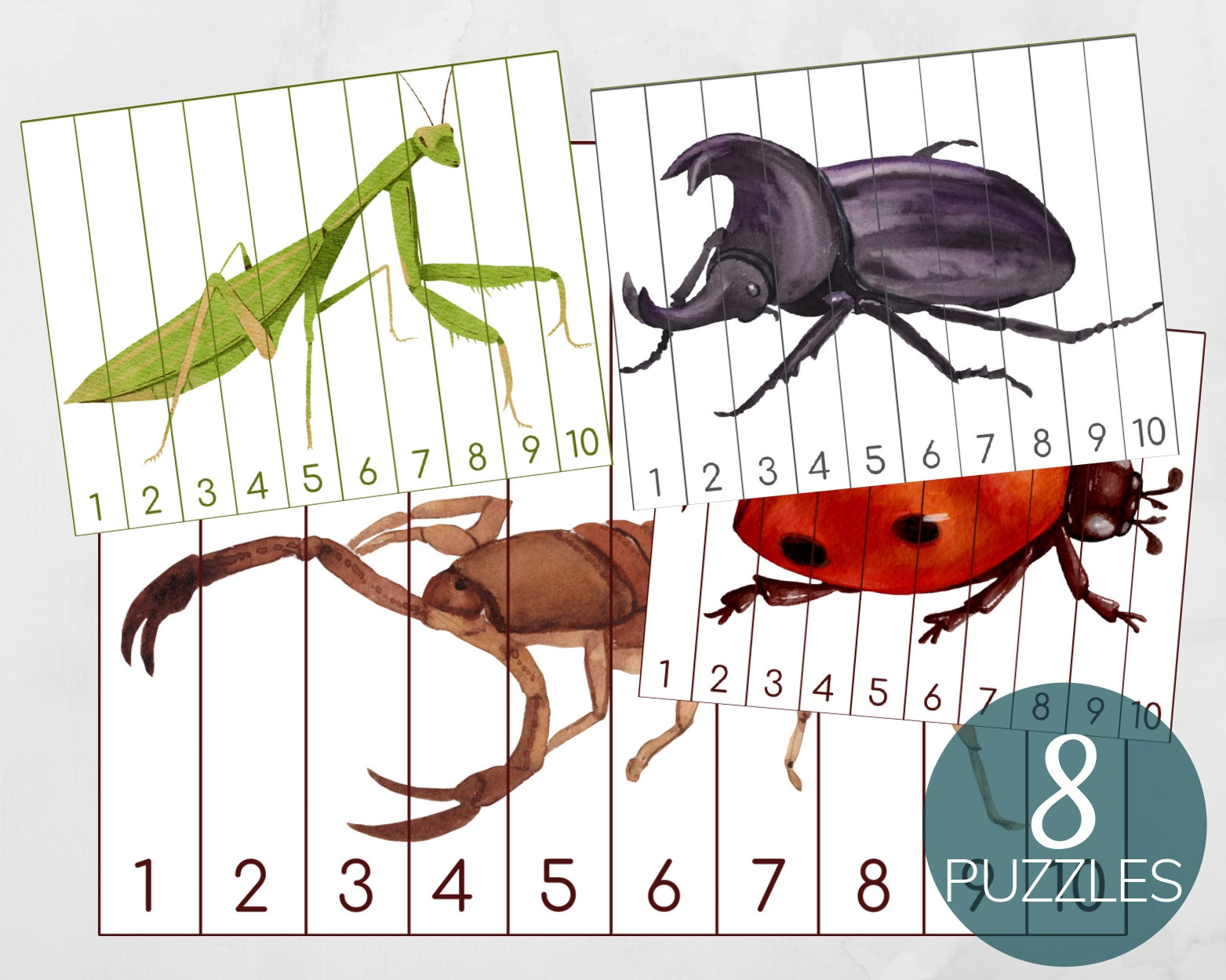 Insect Printable Number Sequence Puzzle 1-10 Montessori - Etsy