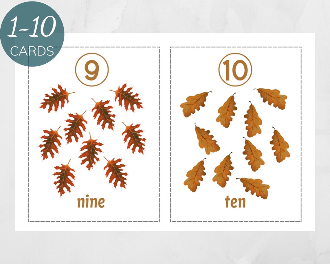 Dinosaur Number Flashcards 1-10 Montessori Activity Summer - Etsy