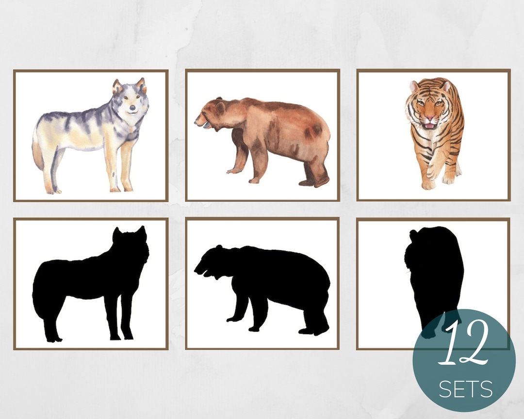 Animals Shadow Matching, Montessori Activity, Summer Activity ...