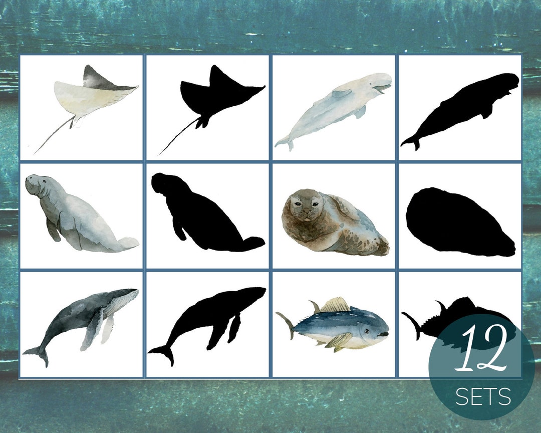 Ocean Animals Shadow Matching, Montessori Activity, Summer Activity ...