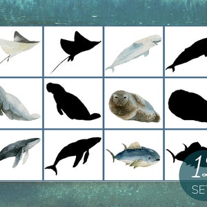 Ocean Animals Shadow Matching, Montessori Activity, Summer Activity ...