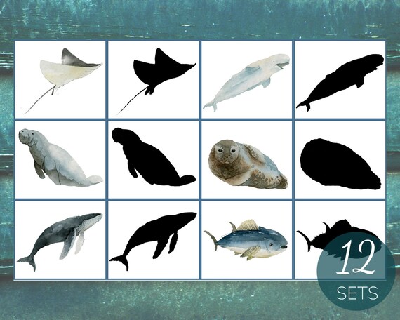 Ocean Animals Shadow Matching Montessori Activity Summer - Etsy