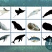 Ocean Animals Shadow Matching, Montessori Activity, Summer Activity ...