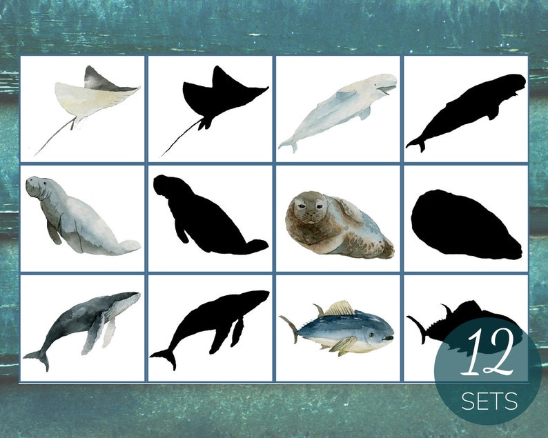 Ocean Animals Shadow Matching Montessori Activity Summer - Etsy