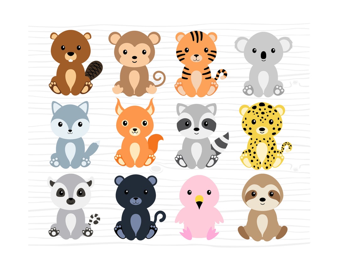 12 Jungle Animal SVG, Cute Animal Svg, Animals Svg Bundle, Beaver ...
