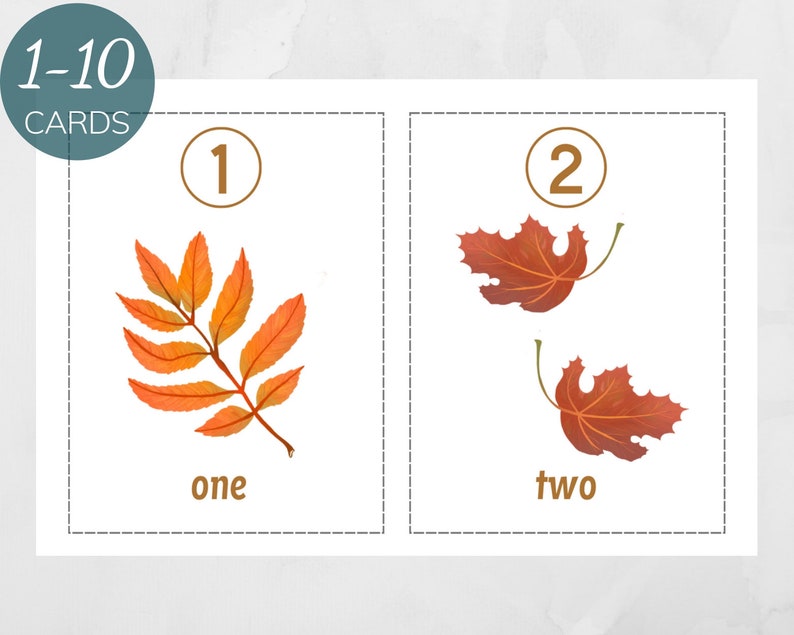 Dinosaur Number Flashcards 1-10 Montessori Activity Summer - Etsy