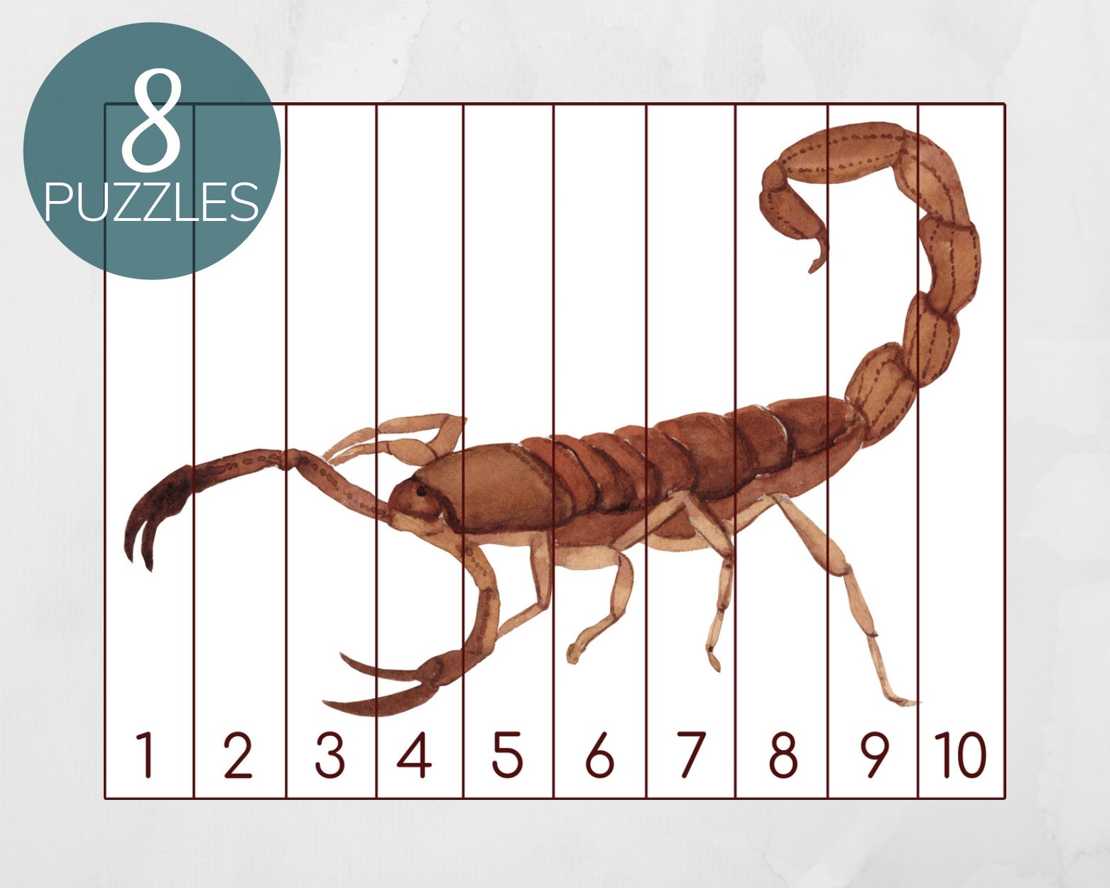 Insect Printable Number Sequence Puzzle 1-10 Montessori - Etsy Australia