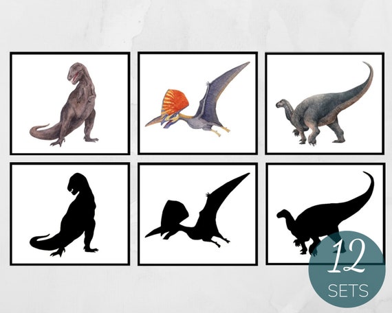 Dinosaur Shadow Matching Summer Items Montessori Activity - Etsy