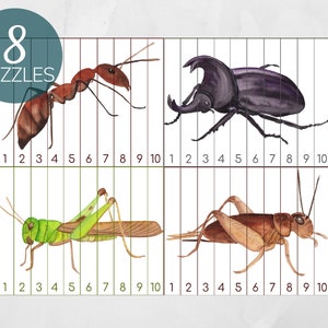 Insect Printable, Number Sequence Puzzle 1-10, Montessori Activity ...
